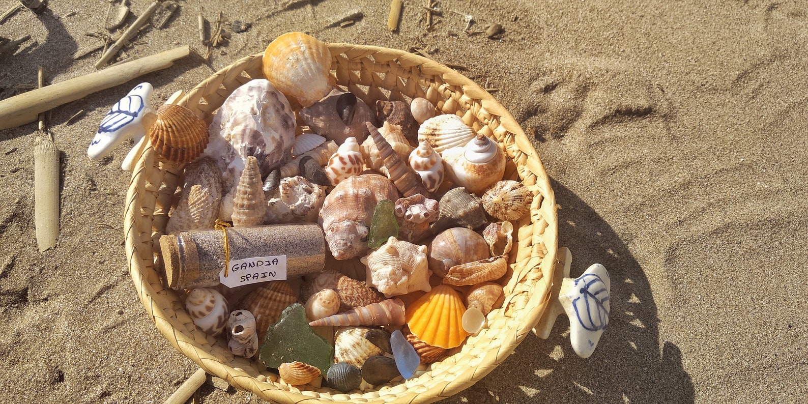 Bulk Mixed Sea Shells Genuine Sea Glass Natural Seashell - Etsy