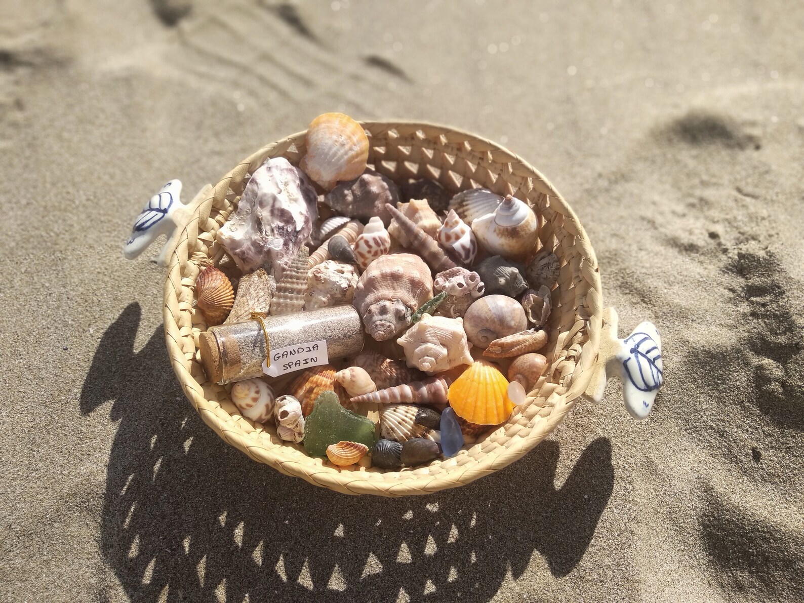 Bulk Mixed Sea Shells Genuine Sea Glass Natural Seashell - Etsy