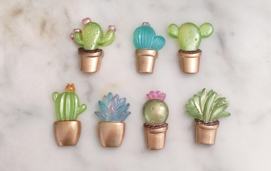 Shimmer Cactus Magnets, Succulent Decor, Nature Fridge Decor, Plant ...