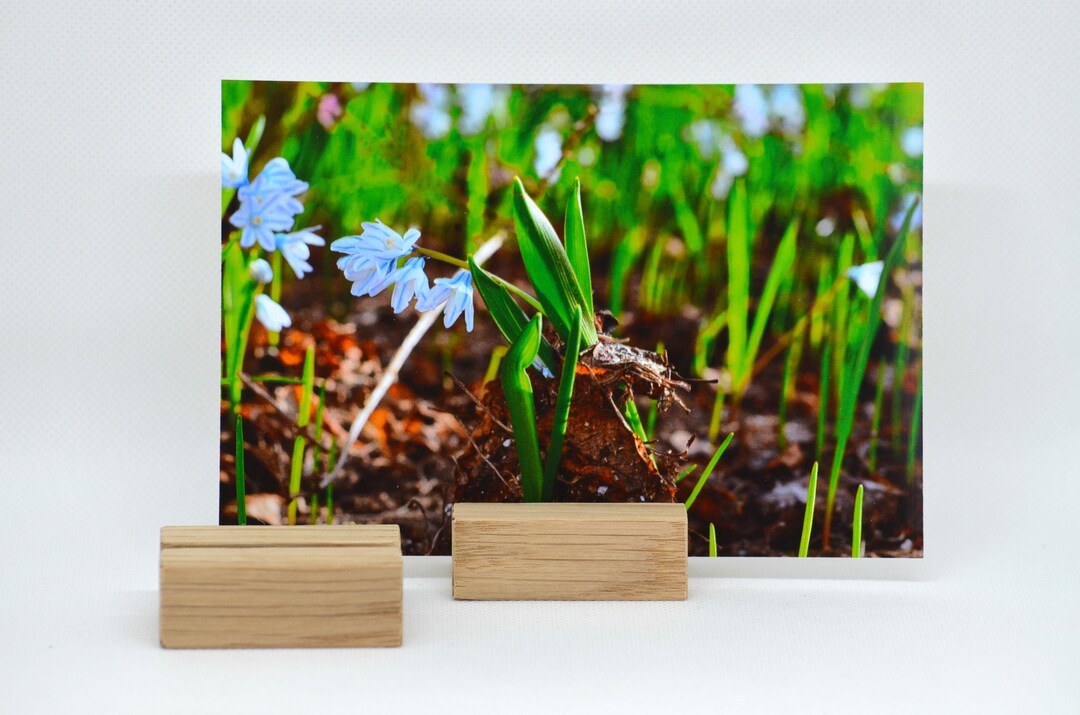 Porte carte 5 cm bois chêne porte carte postale porte carte - Etsy France