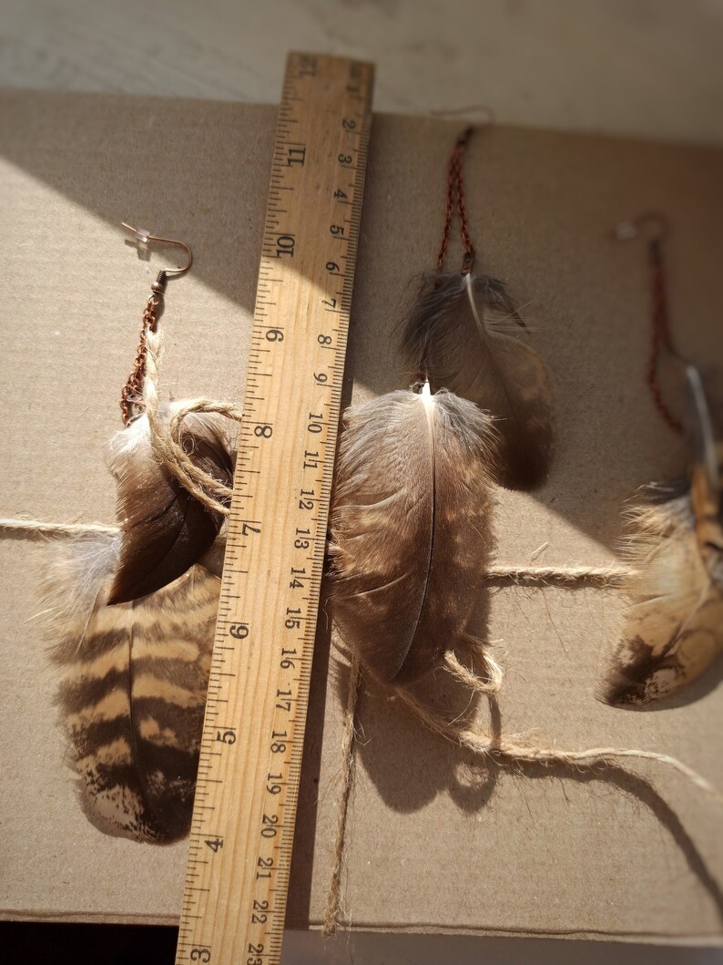 Single Feather Earrings One Earring Natural Molted Feathers - Etsy