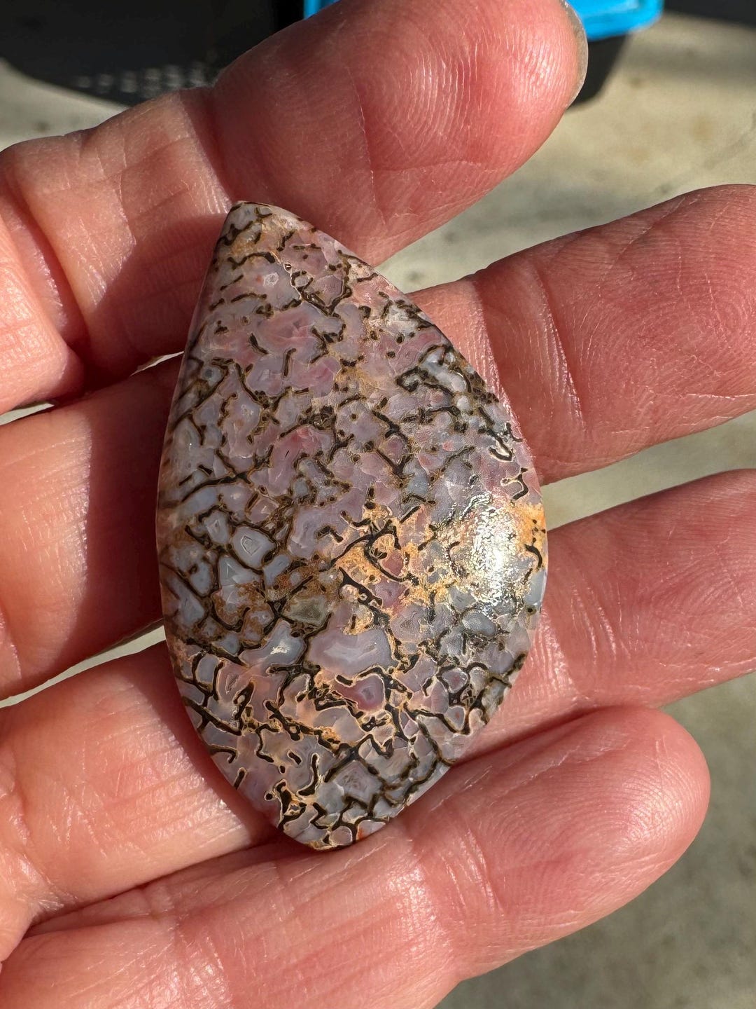 Dinosaur Bone Cabochon Dinobone - Etsy