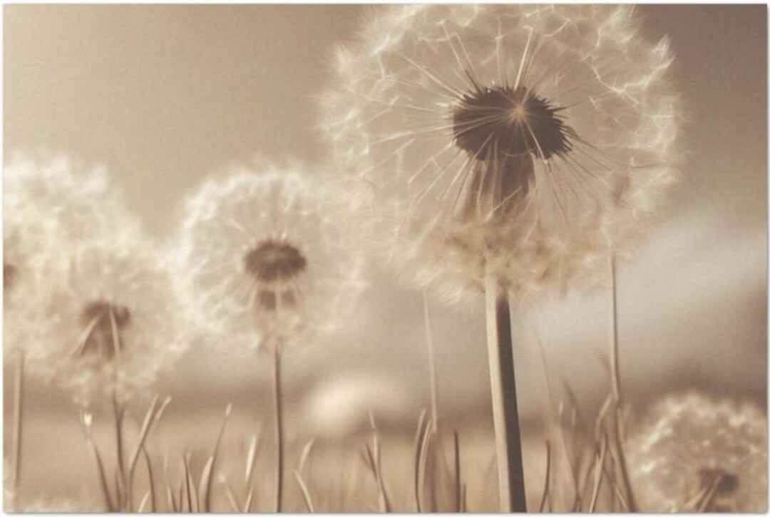 Dandelions at Dusk Large Decoupage Paper (custom Sizes Available) - Etsy