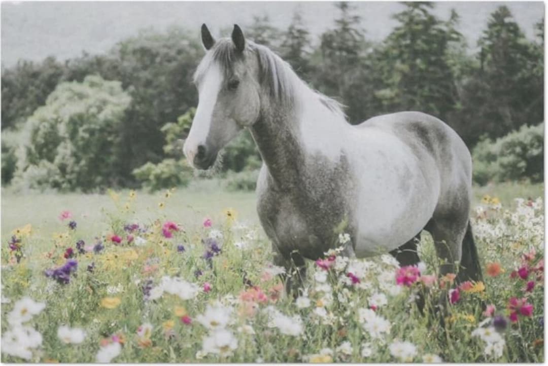 Majestic Meadow Large Decoupage Tissue Paper 20"x30" - Etsy