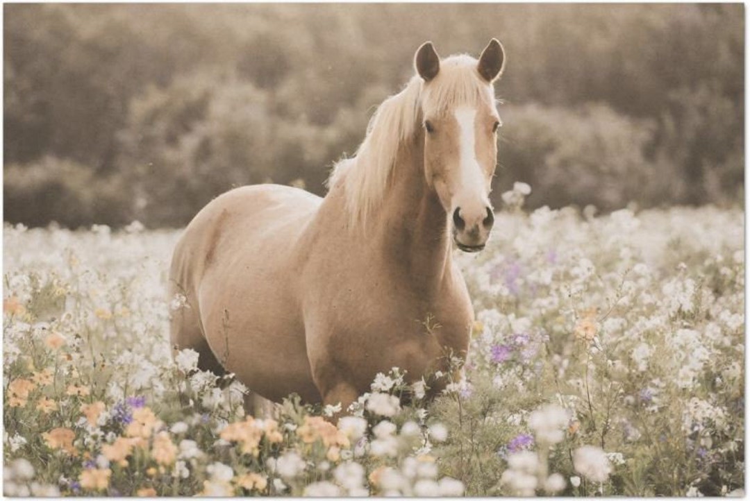 Mare in the Meadow Large Decoupage Tissue Paper 20"x30" - Etsy