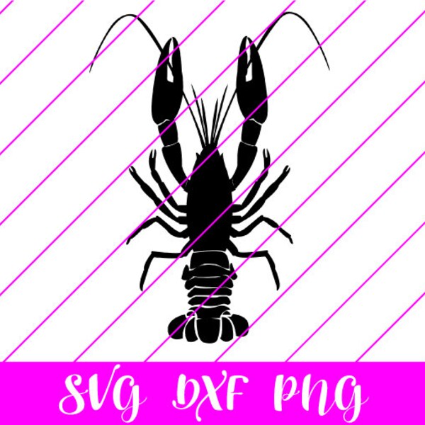 Craw - Etsy