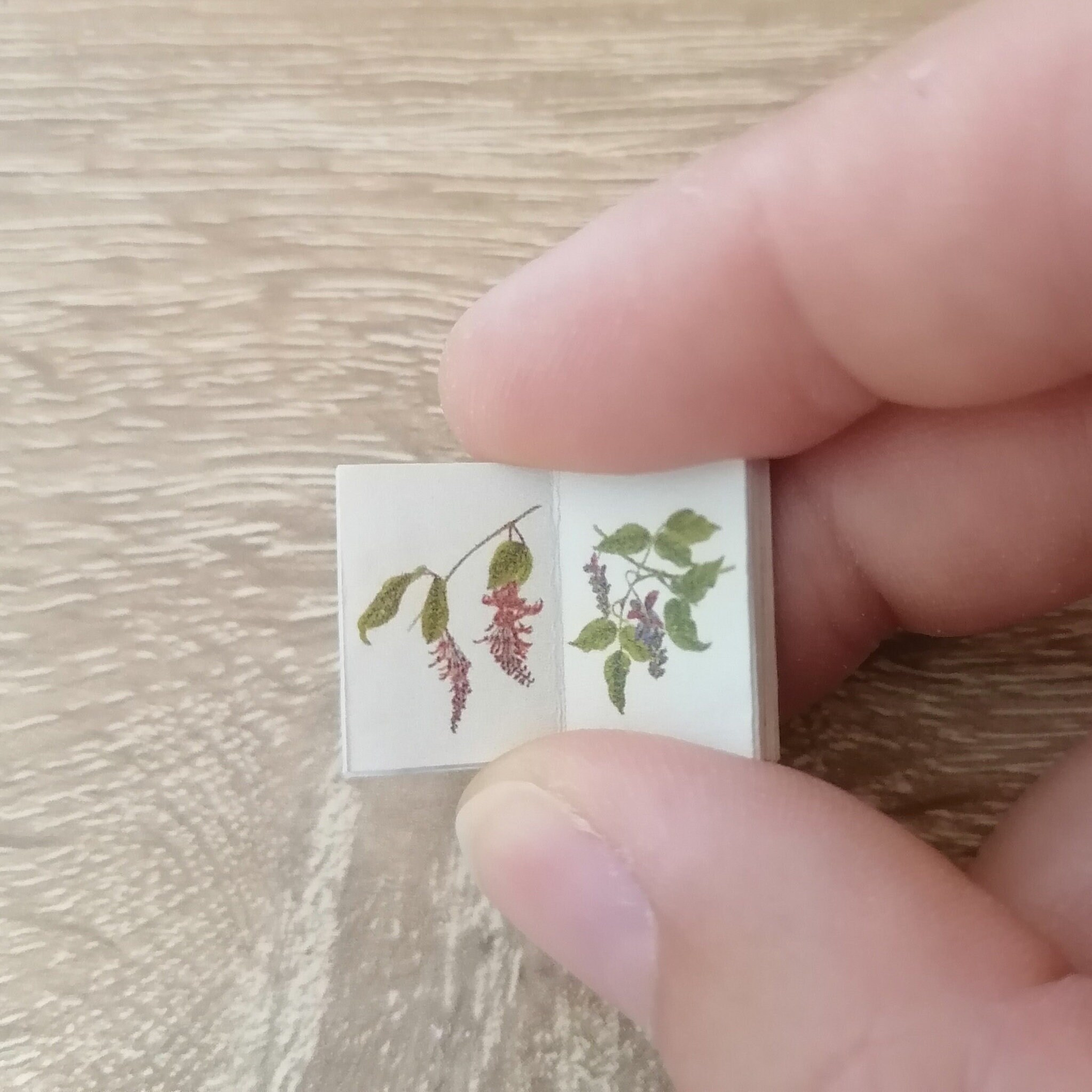 1:12 Scale Miniature FLOWERS Dollhouse Book With 32 Pages DOWNLOAD ONLY ...
