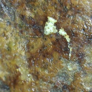 Meteorite 340 Gram Lunar Meteorite - Etsy