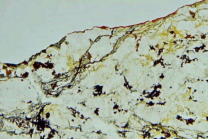 Meteorite 95 Gram Lunar Meteorite With Thin Section Slide - Etsy
