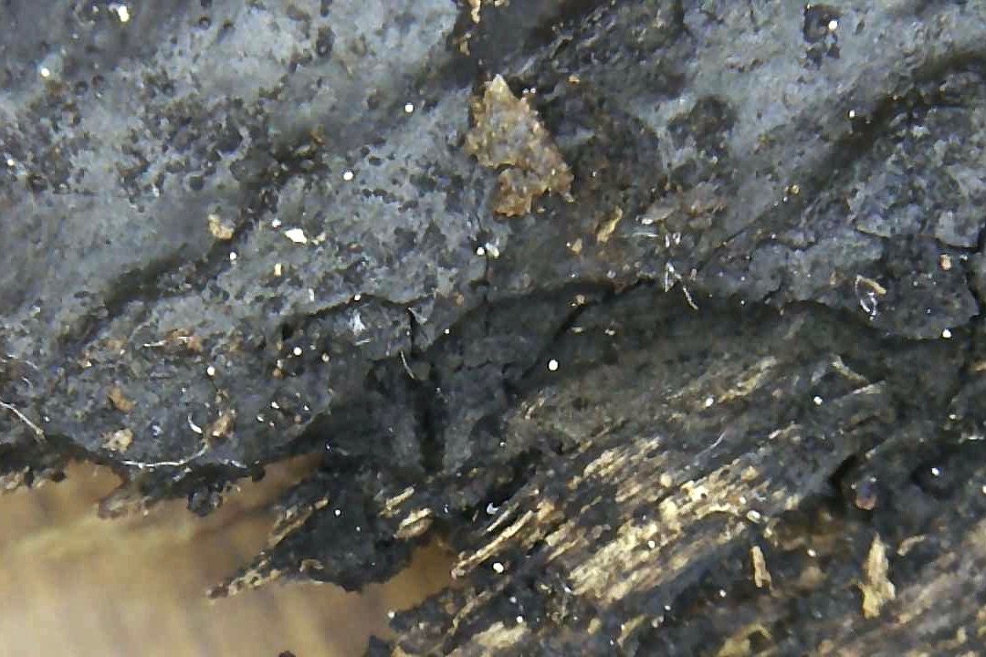 Meteorite, Lunar Meteorite, Fusion Crust on Oak Tree 3.5 Cm X 11.5 Cm ...