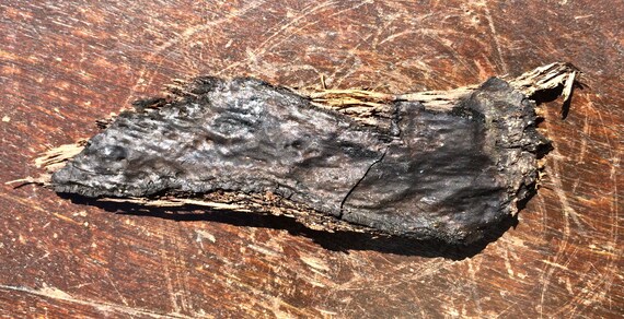 Meteorite Lunar Meteorite Fusion Crust On Oak Tree 3.5 cm | Etsy