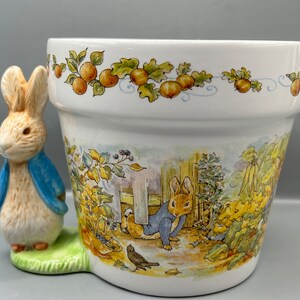 Vintage Beatrix Potter Peter Rabbit Ceramic Flower Garden Pot Teleflora ...