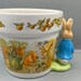 Vintage Beatrix Potter Peter Rabbit Ceramic Flower Garden Pot Teleflora ...