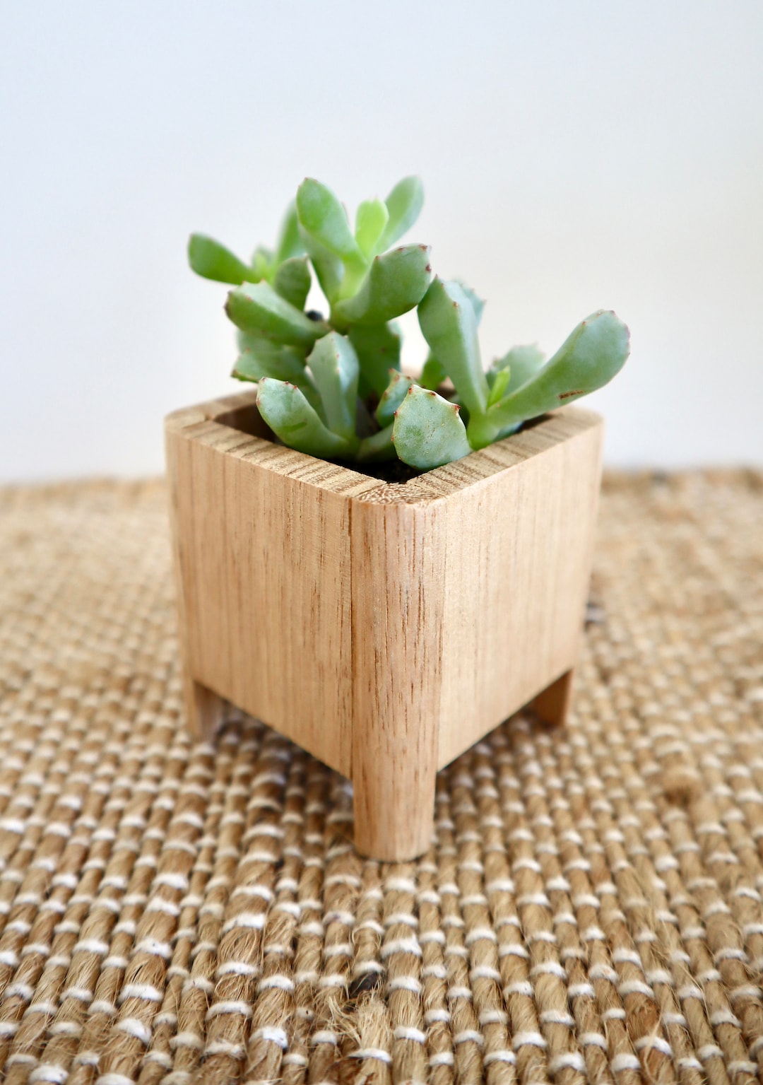 Tasmanian Oak Plant Stand Small Succulent Pot Plant Plant Stand - Etsy