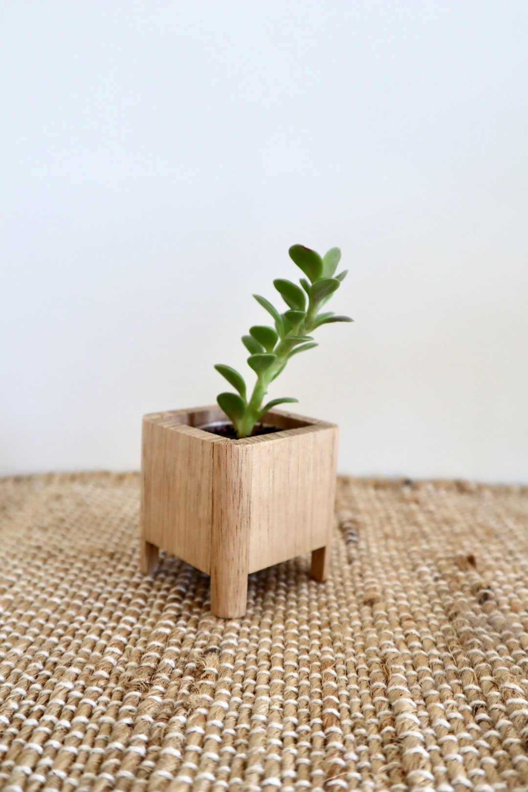 Tasmanian Oak Plant Stand - Small | Succulent | Pot Plant | Plant Stand ...
