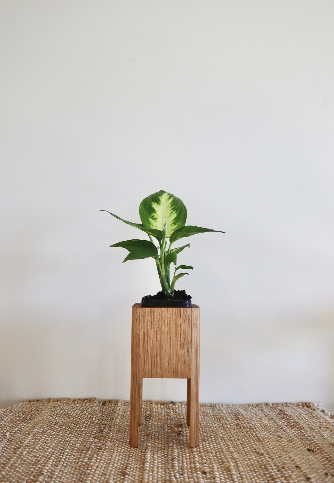 Tasmanian Oak Plant Stand - Large | Succulent | Pot Plant | Plant ...