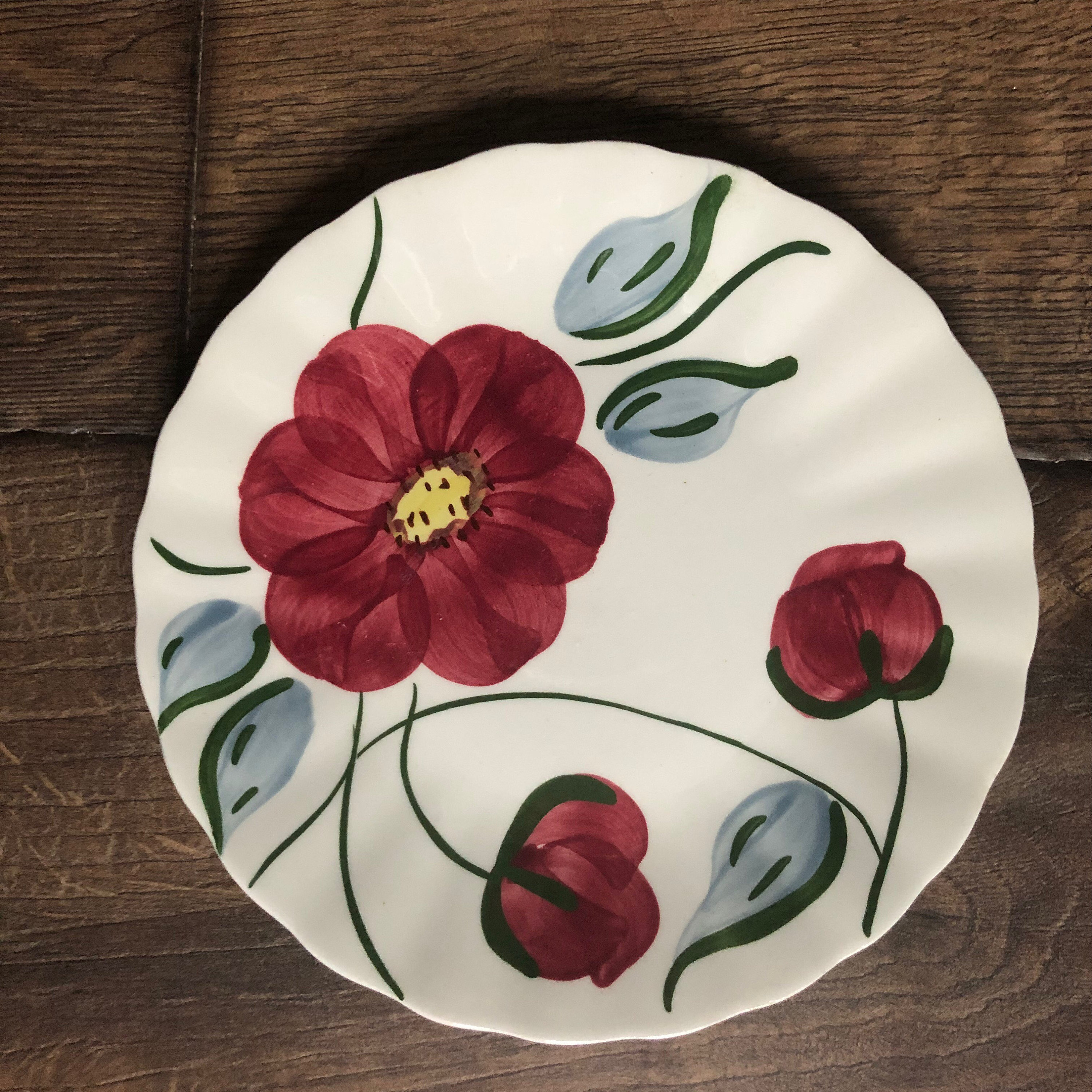 Blue Ridge Southern Potteries Plate Collection Vintage - Etsy