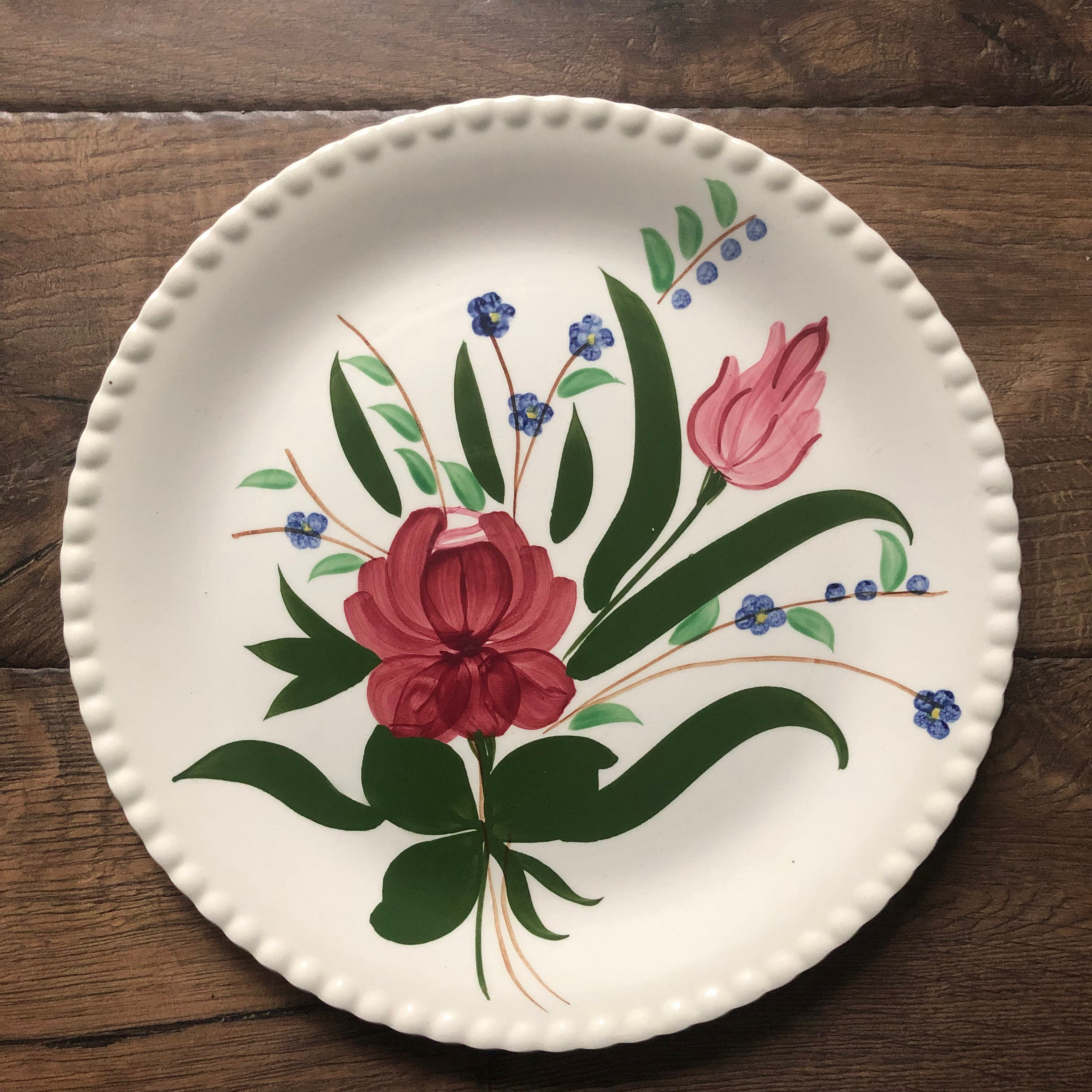 Blue Ridge Southern Potteries Plate Collection Vintage - Etsy