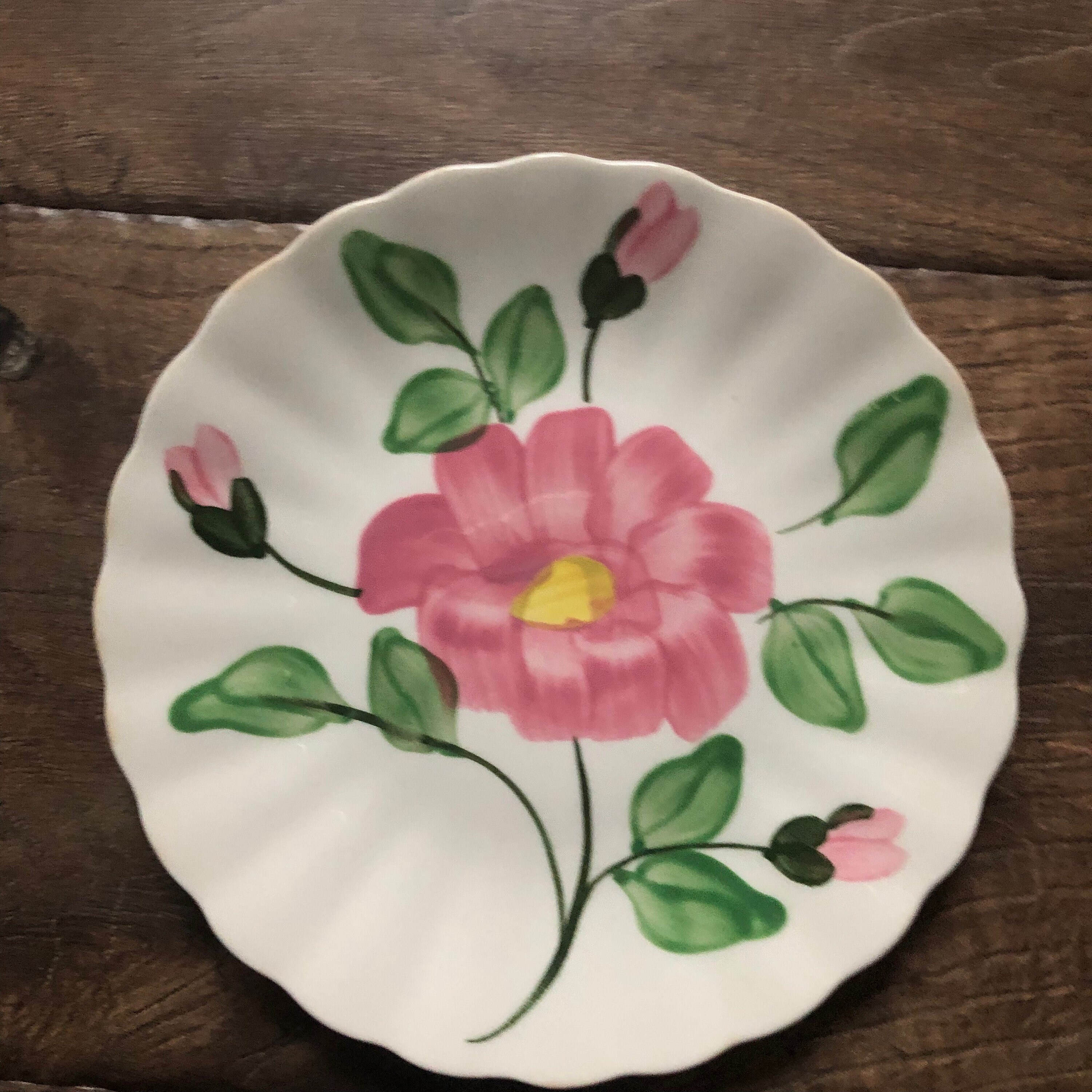 Blue Ridge Southern Potteries Plate Collection Vintage - Etsy