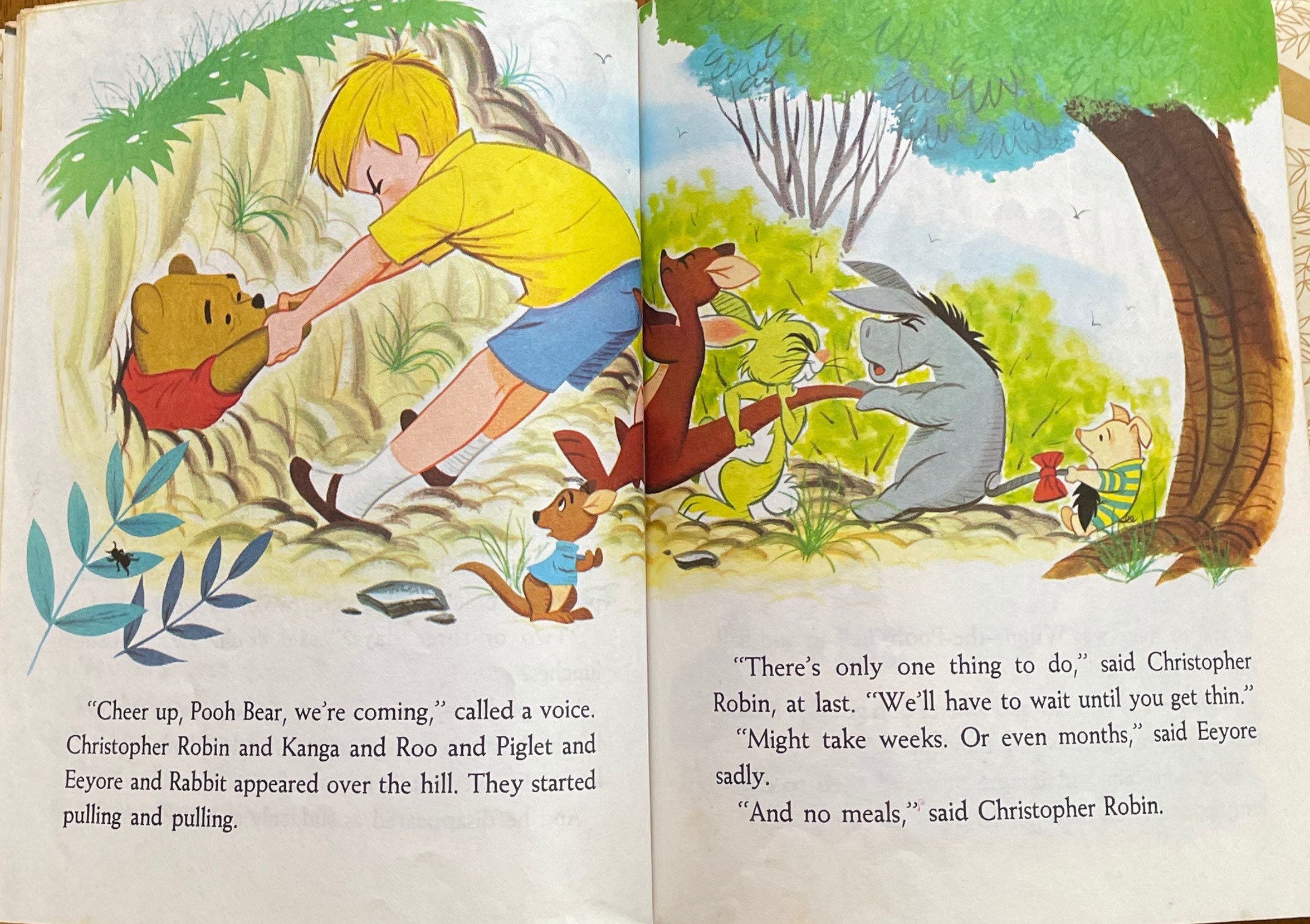 Pooh Bear Gets Stuck