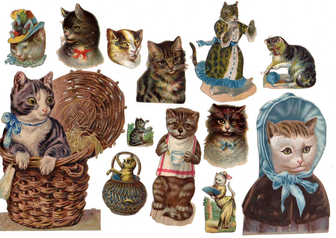 Set of Cut-out Chromos and Cut-out Images Cat Katze Cat Kitten ...