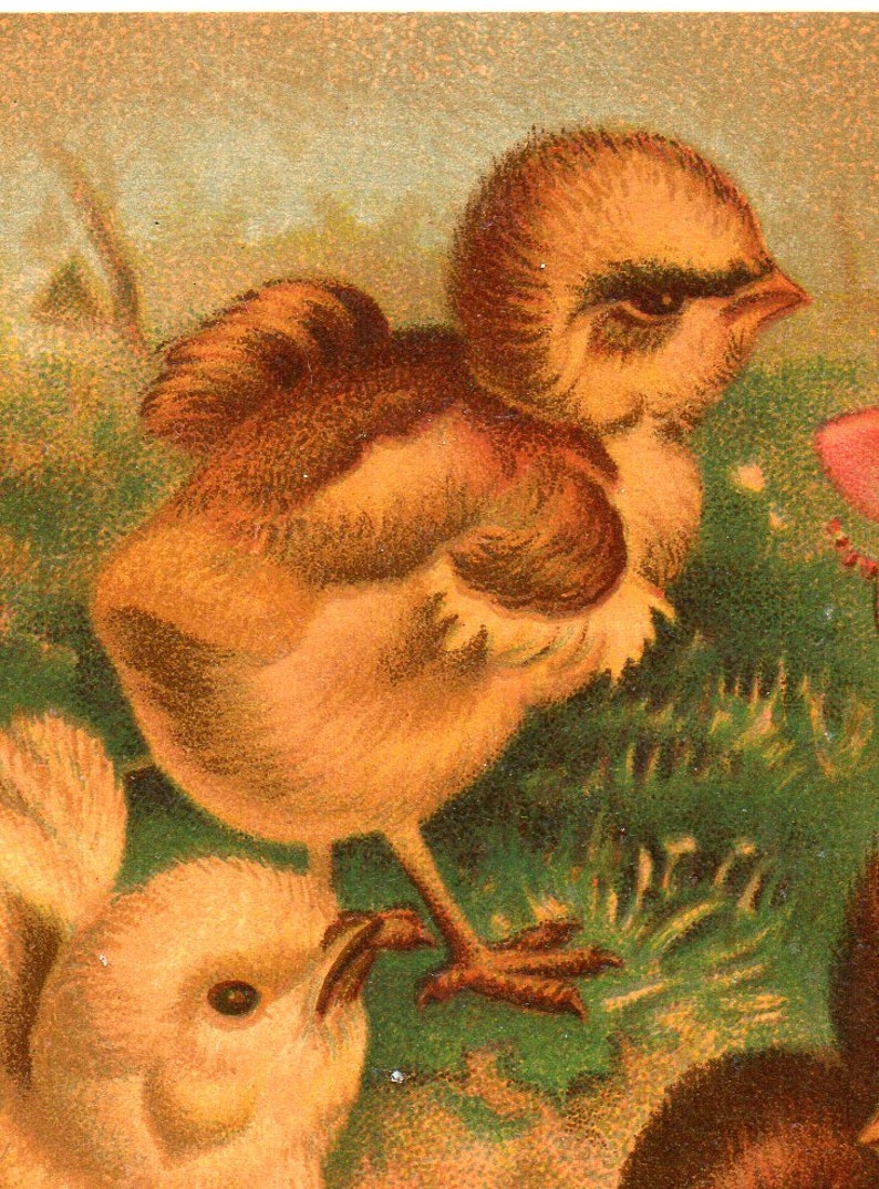 Chromo Vintage Image Chicks for Collage Decoration - Etsy