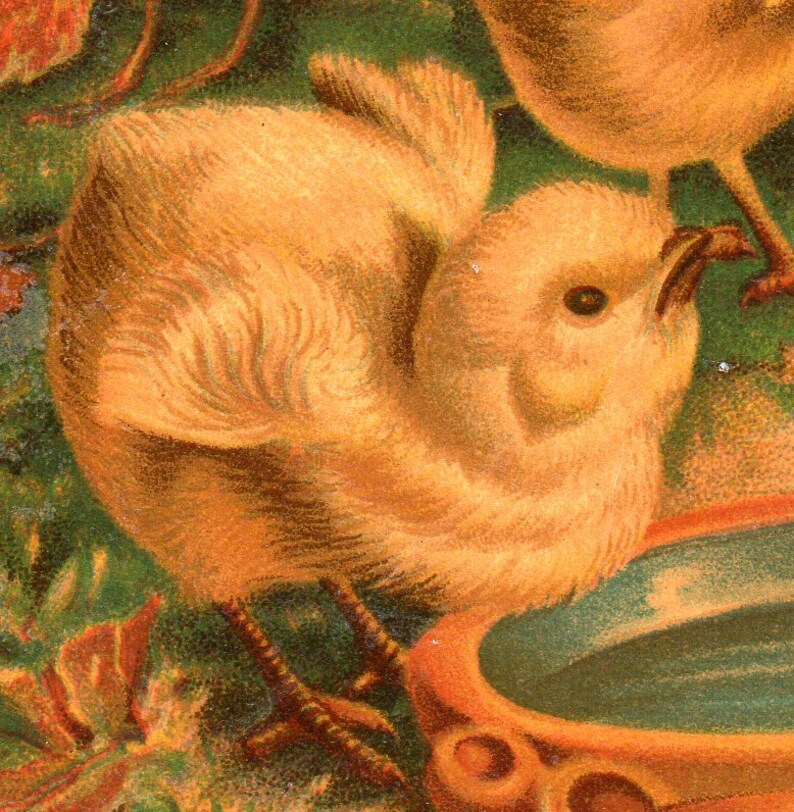 Chromo Vintage Image Chicks for Collage Decoration - Etsy