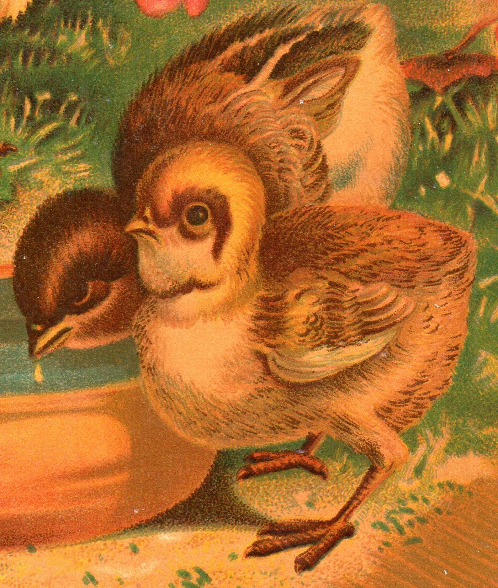 Chromo Vintage Image Chicks for Collage Decoration - Etsy
