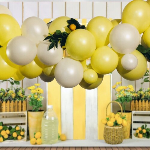 5FT Lemonade Yellow Balloon Garland Kit-lemon Chiffon - Etsy