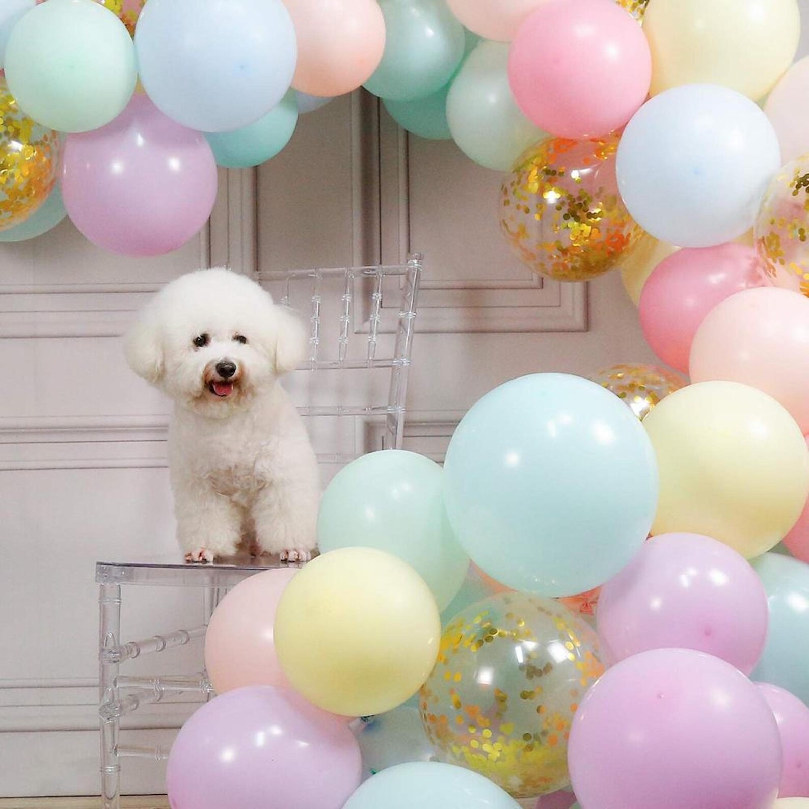 Pastel Balloons Pack 80 Pcs 12 Inch Pastel Color Balloons - Etsy