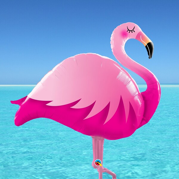 Flamingo Party Balloons - Etsy