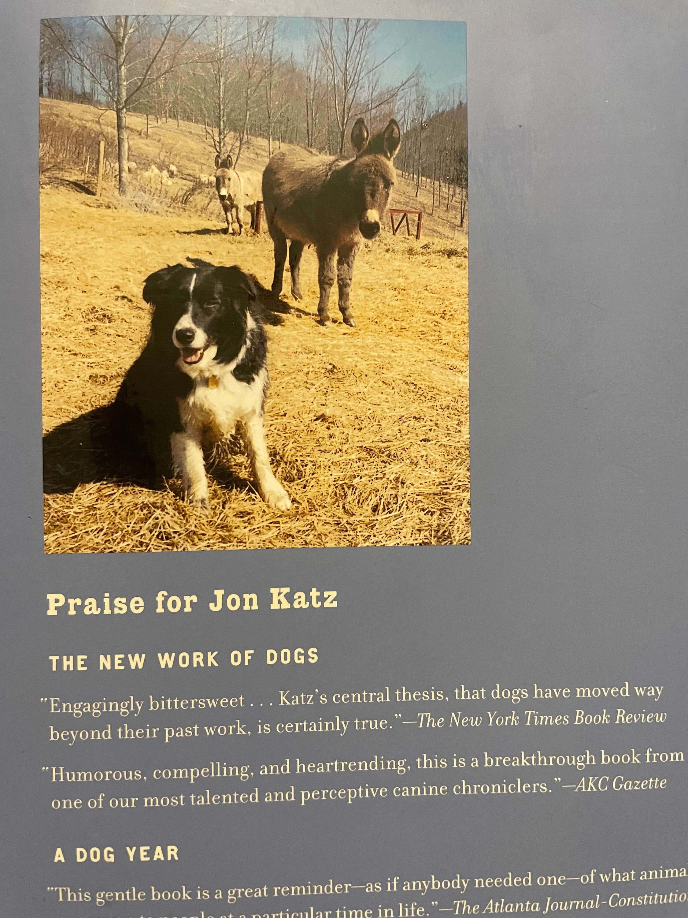 The Dogs of Bedlam Farm First Edition Adventure With 3 Dogs 2 Donkeys ...