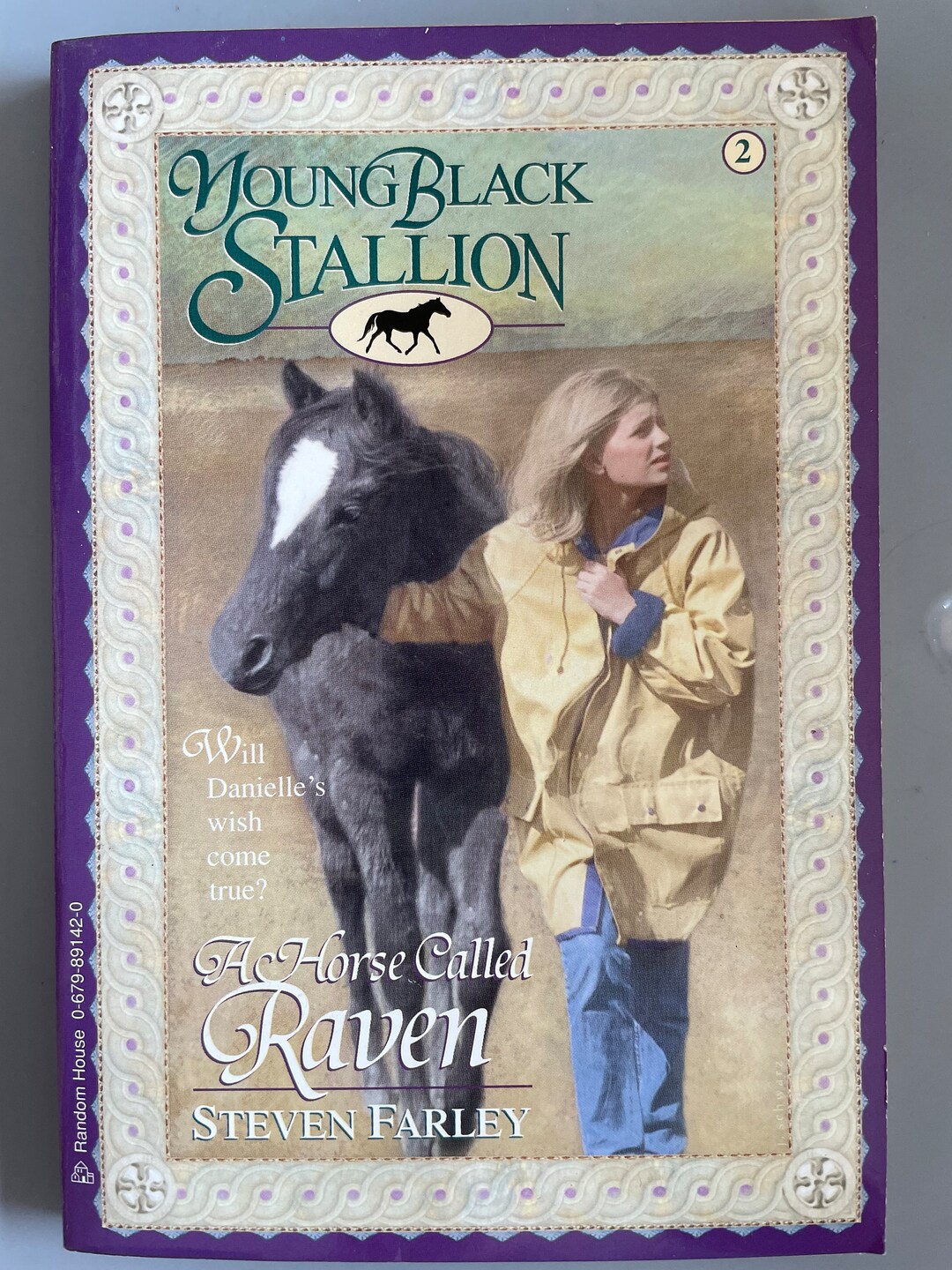 Young Black Stallion No. 2 A Horse Called Raven Steven Farley - Etsy