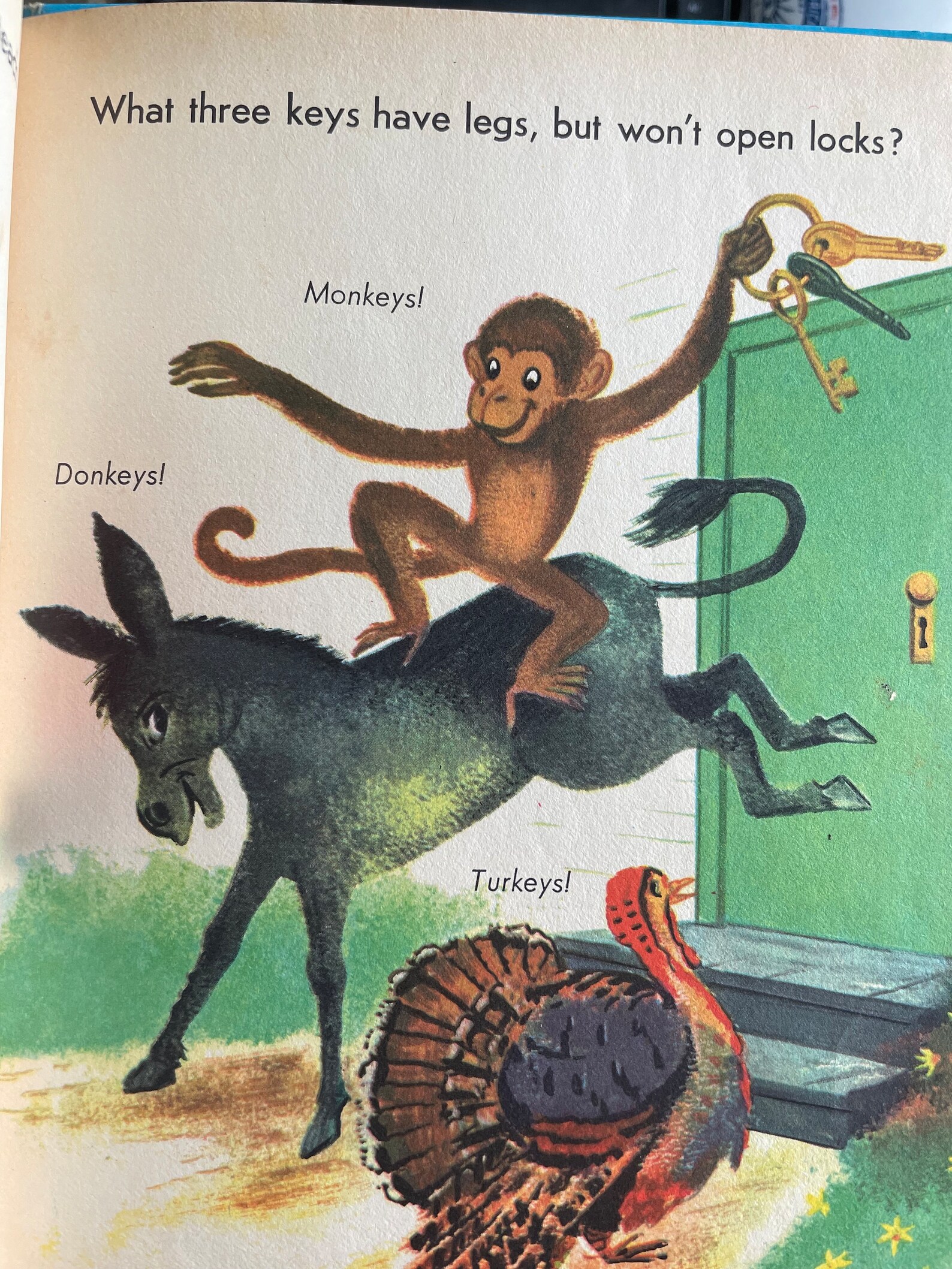 My First Book of Riddles Wonder Book 1960 - Etsy