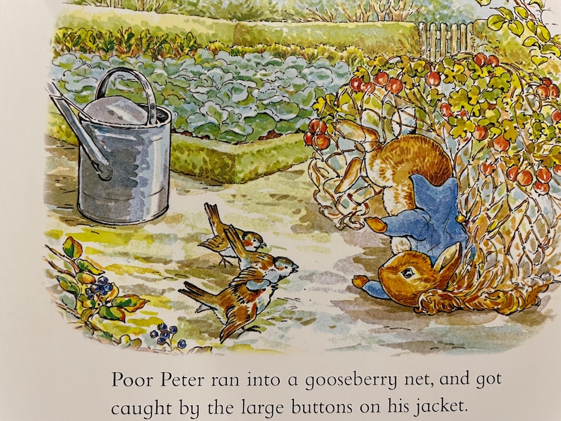 The Tale of Peter Rabbit Beatrix Potter - Etsy