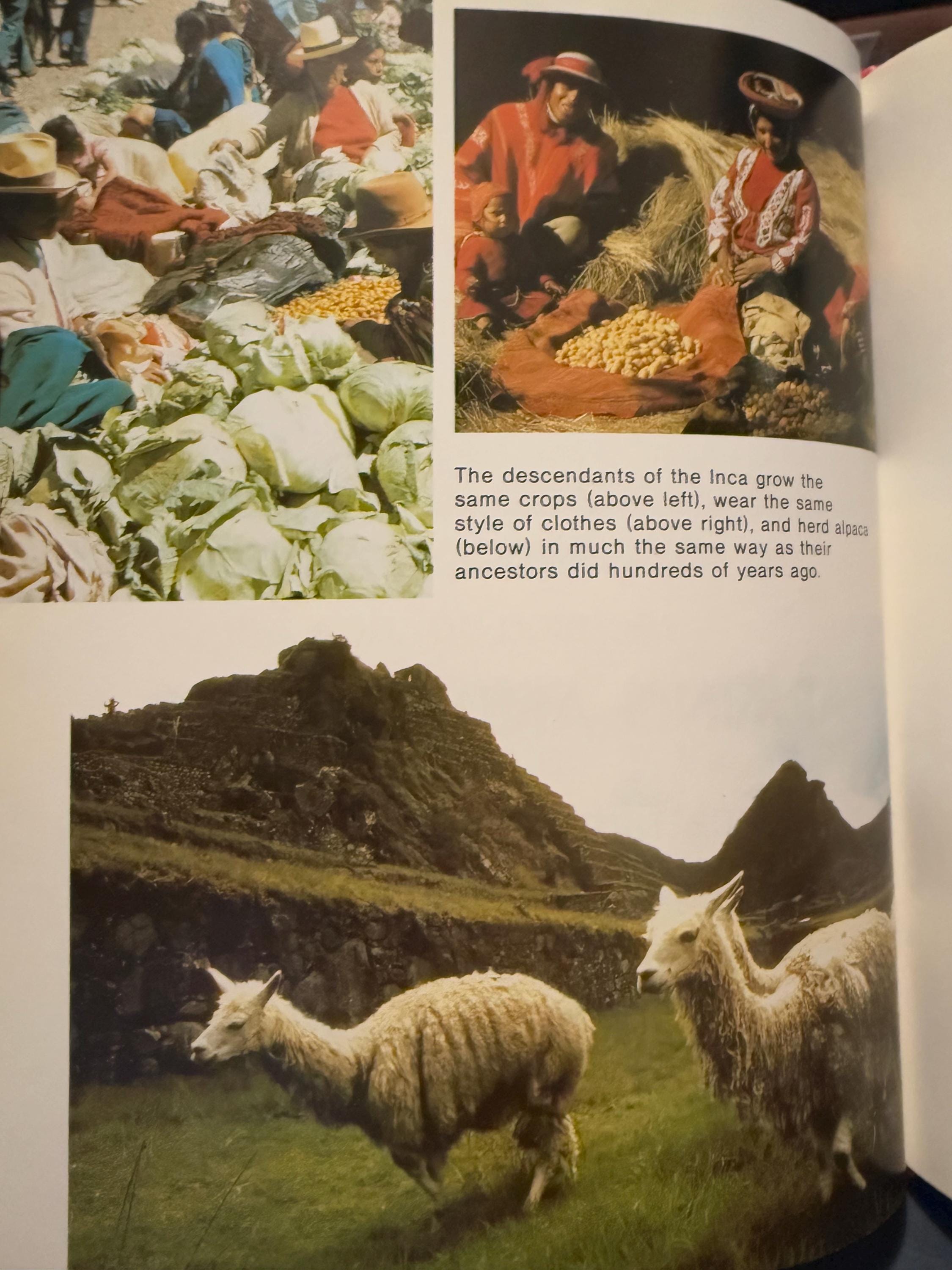 The Inca Empire of South America Former Library Copy Alpaca Clothing ...