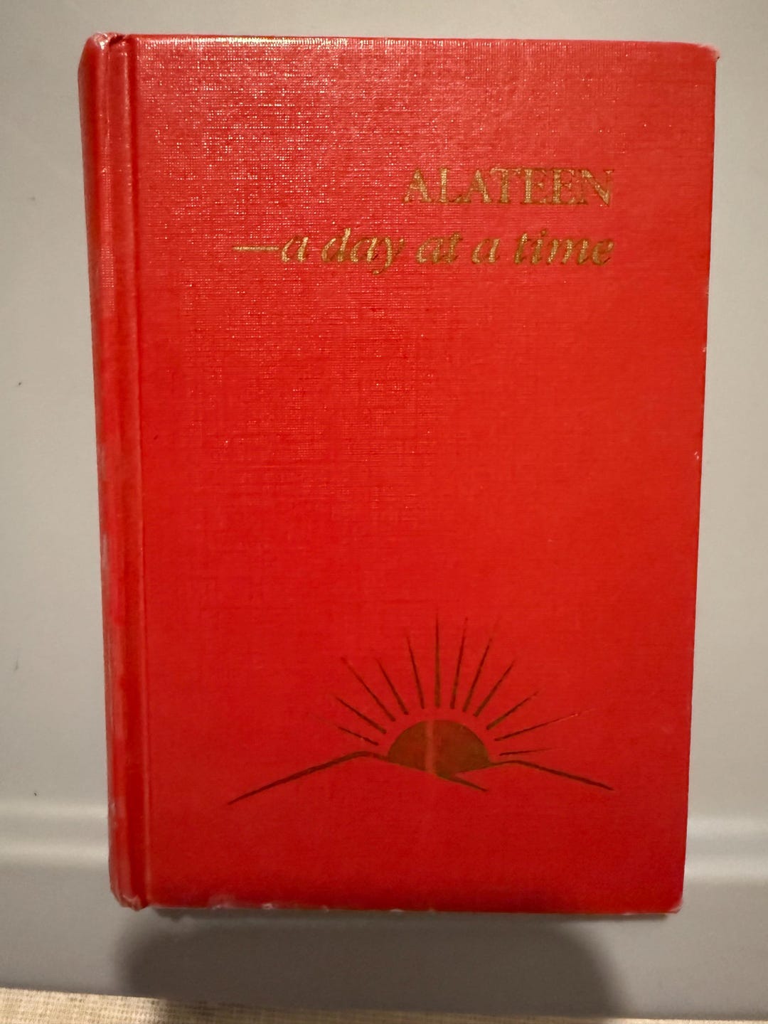 Alateen Teens Alcoholic’s Anonymous See All Photos for Condition AA - Etsy