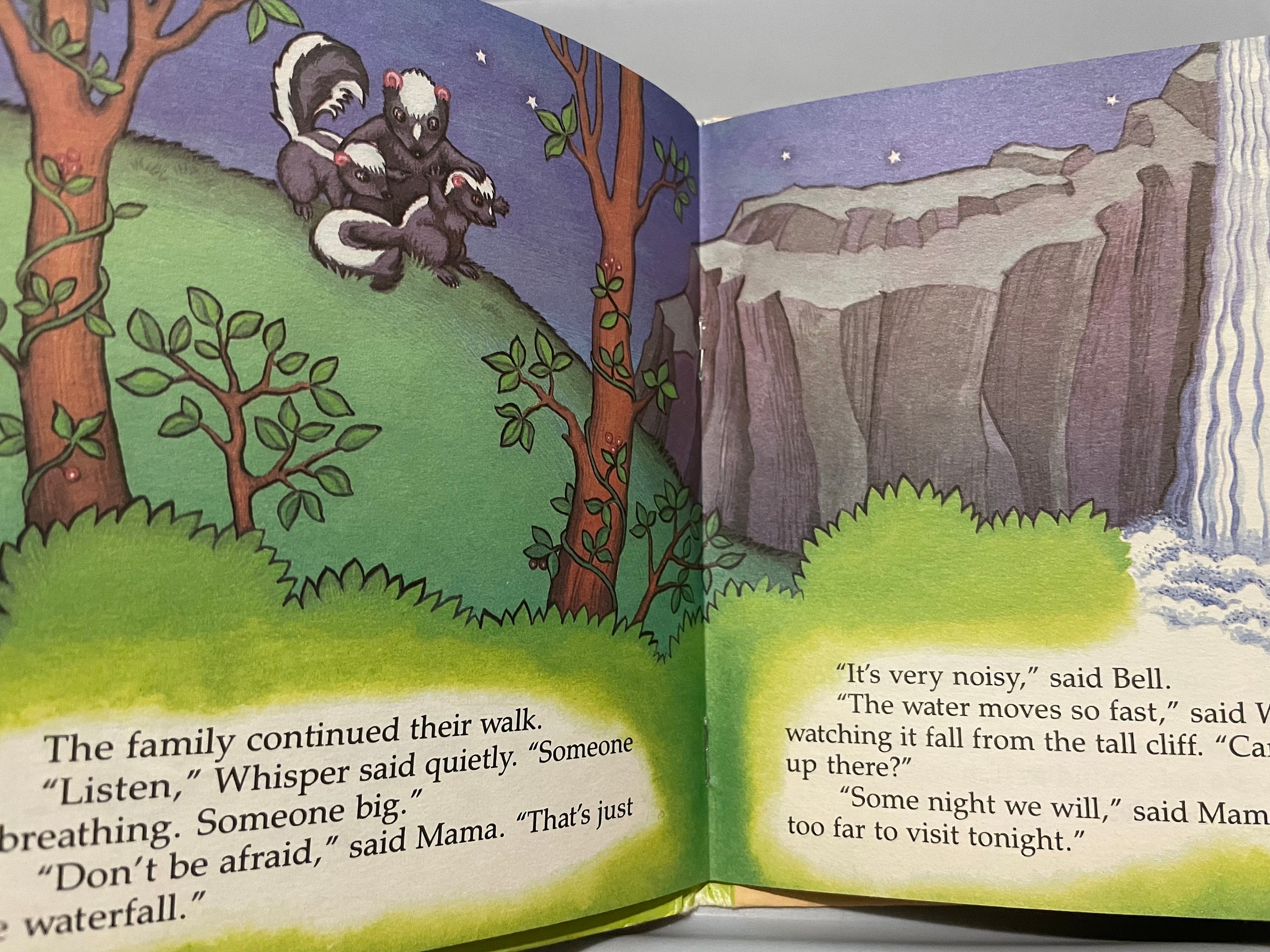 The Evening Walk Skunk Family - Etsy