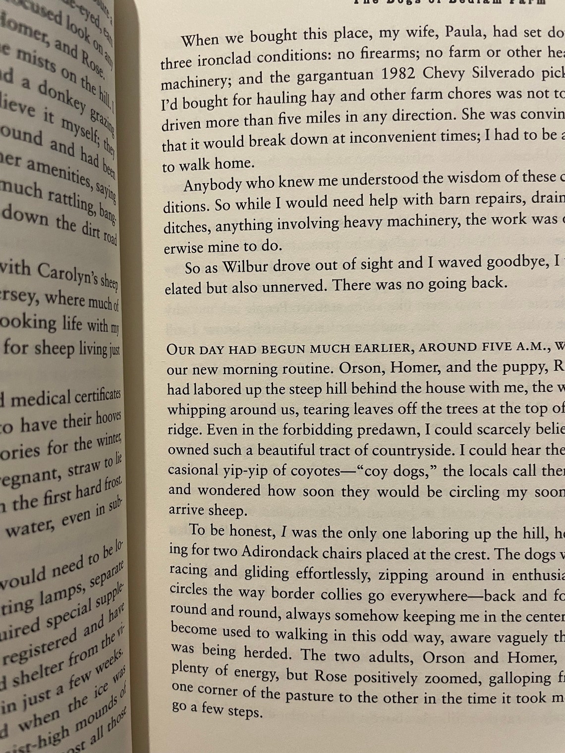 The Dogs of Bedlam Farm First Edition Adventure With 3 Dogs 2 Donkeys ...