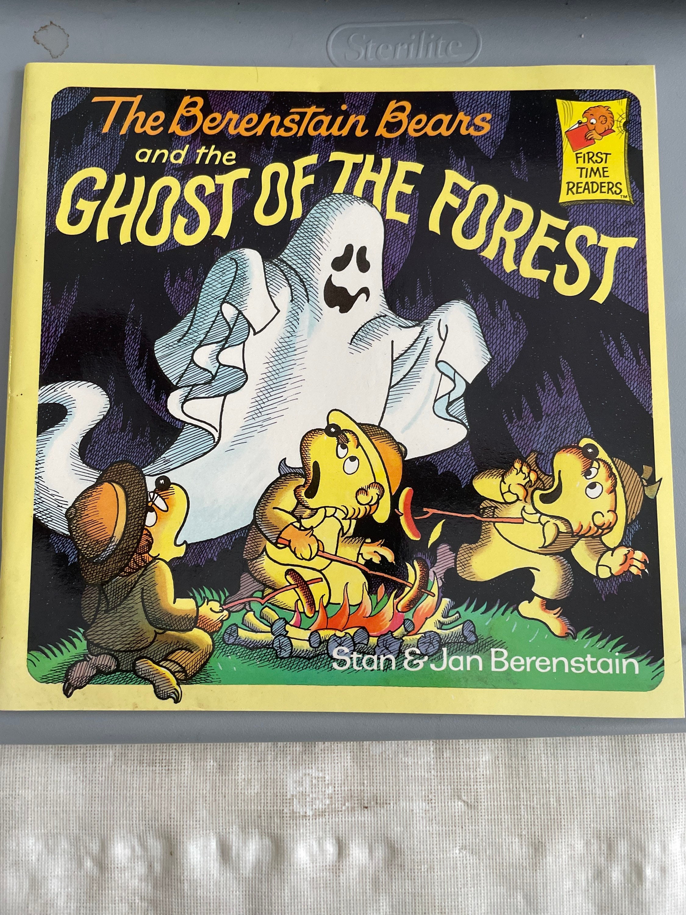 The Berenstain Bears and the Ghost of the Forest - Etsy