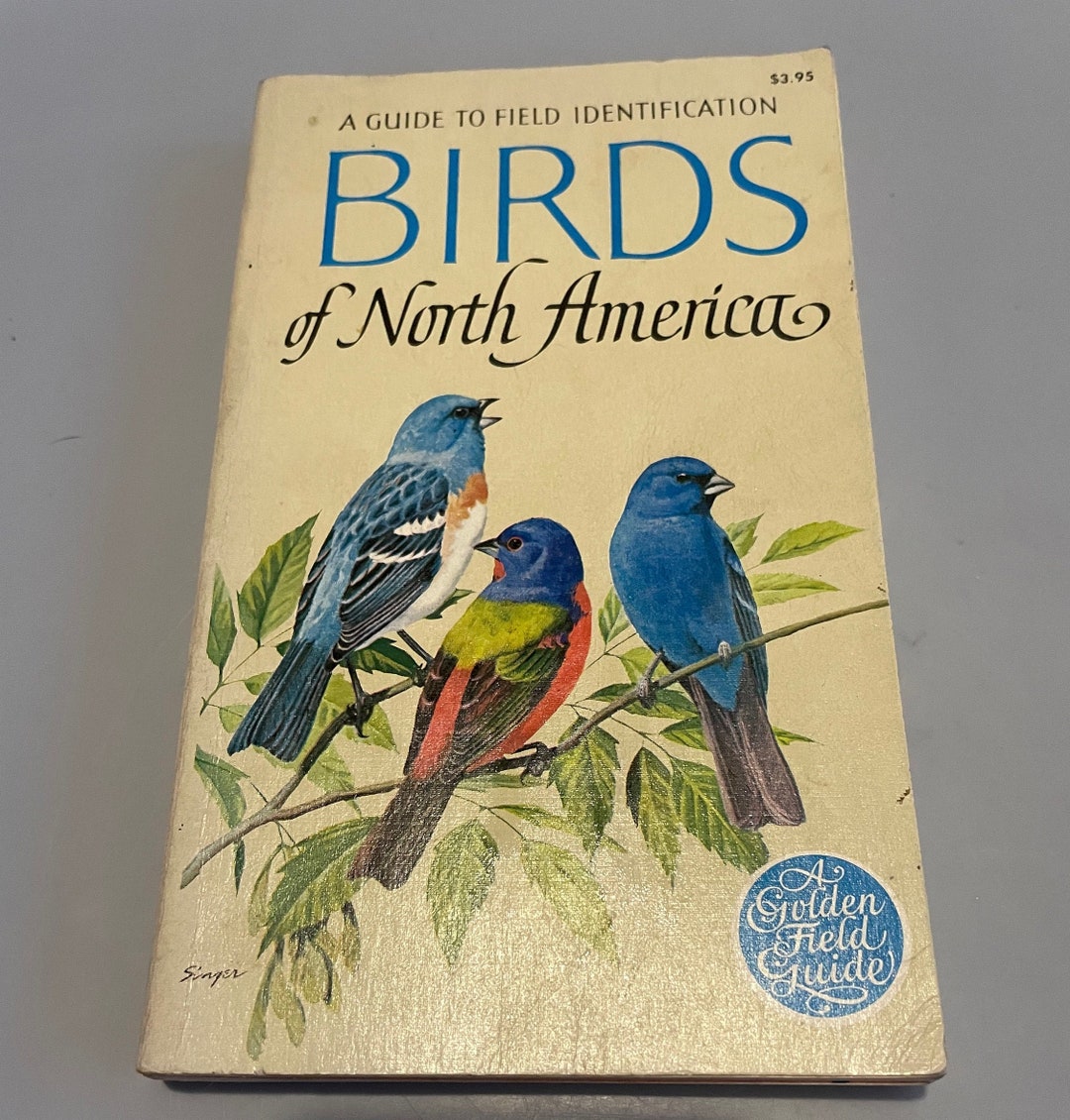 A Guide to Identifying Birds of North America A Golden Field Guide ...