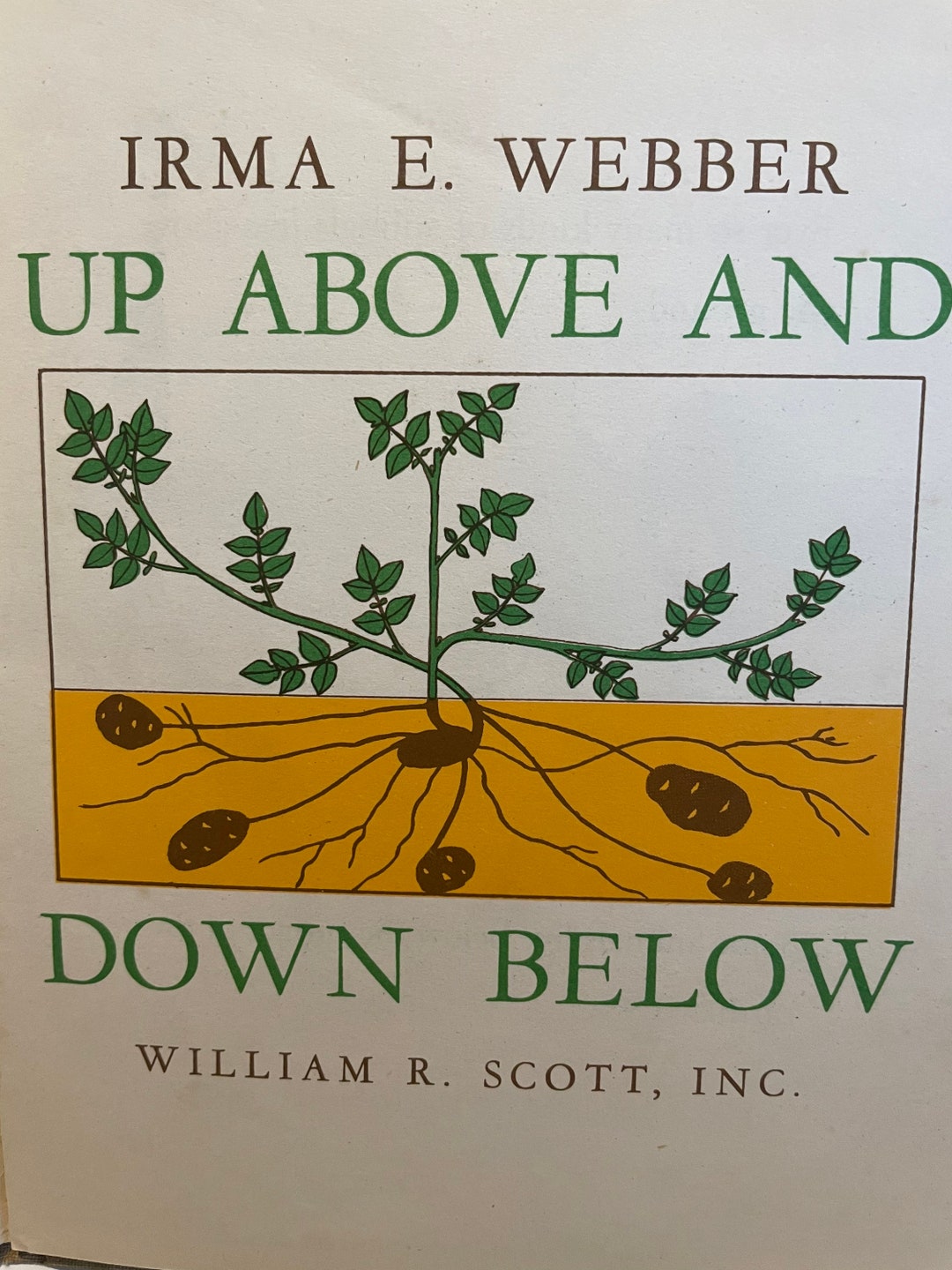 Up Above and Down Below a First Book About Plants Vintage Gardening ...