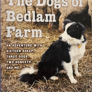 The Dogs of Bedlam Farm First Edition Adventure With 3 Dogs 2 Donkeys ...