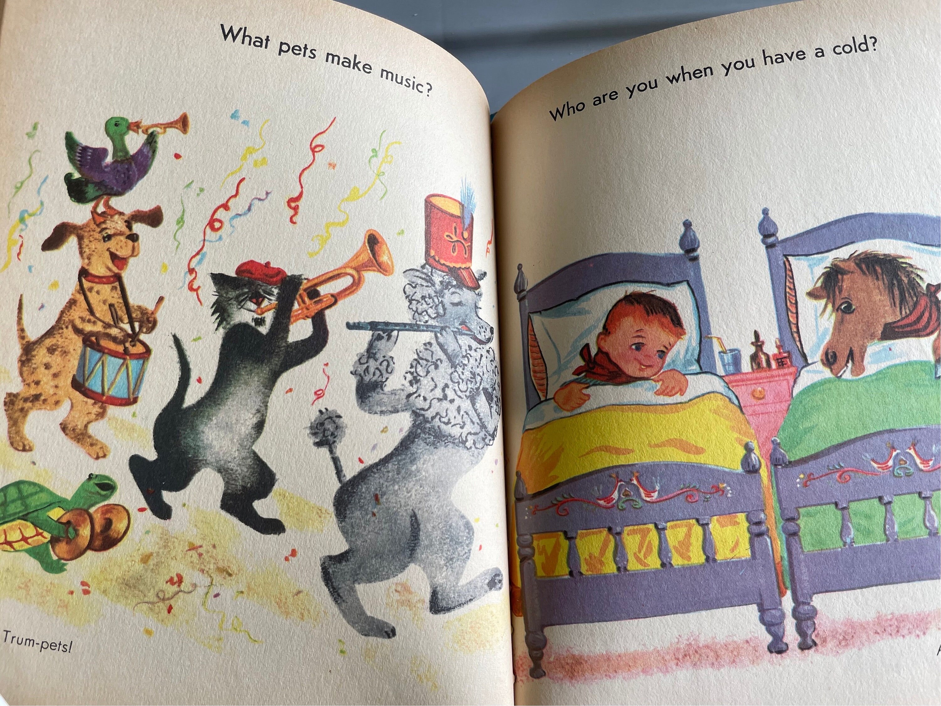 My First Book of Riddles Wonder Book 1960 - Etsy