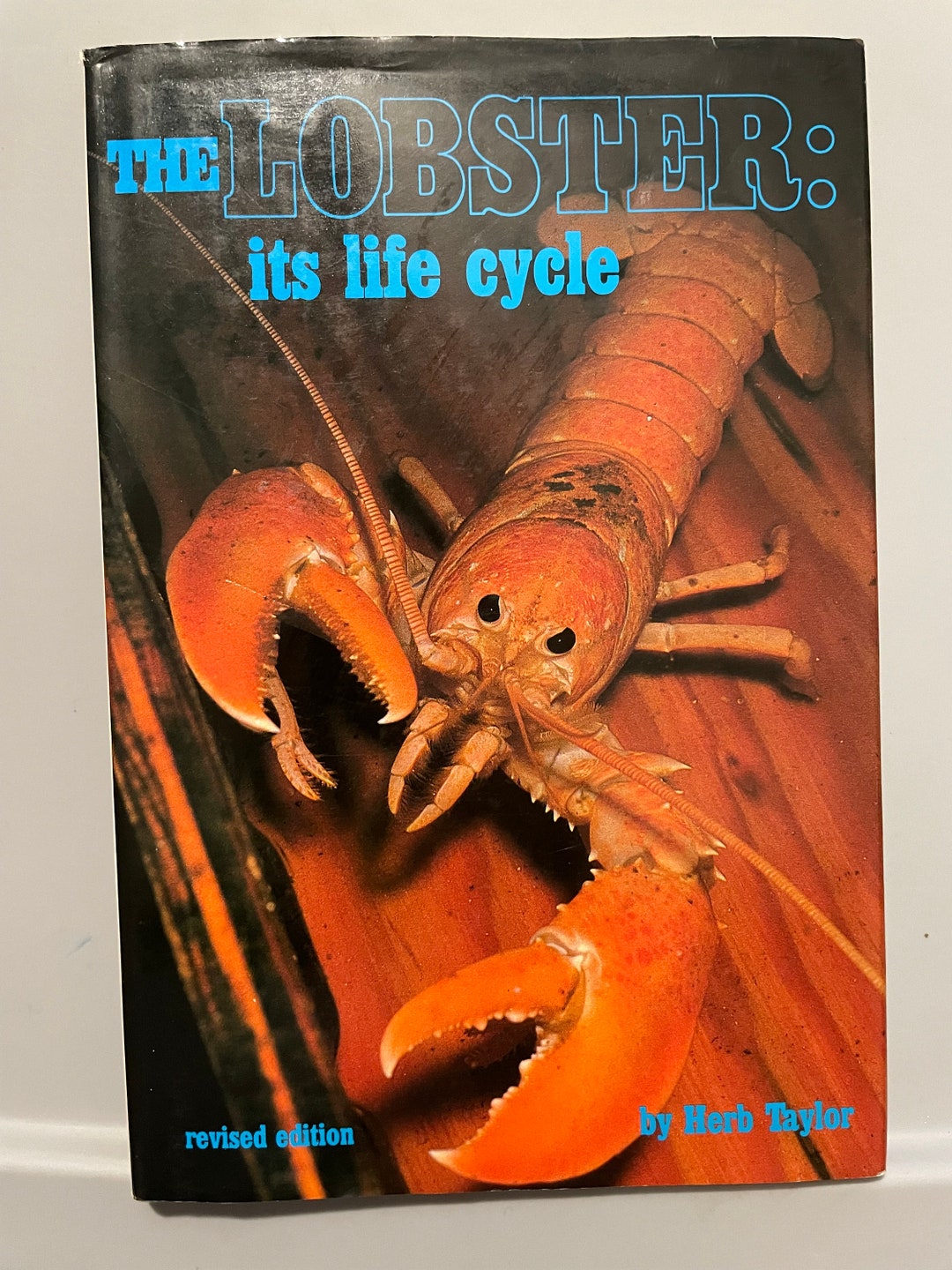 The Lobster It’s Life Cycle by Herb Taylor - Etsy