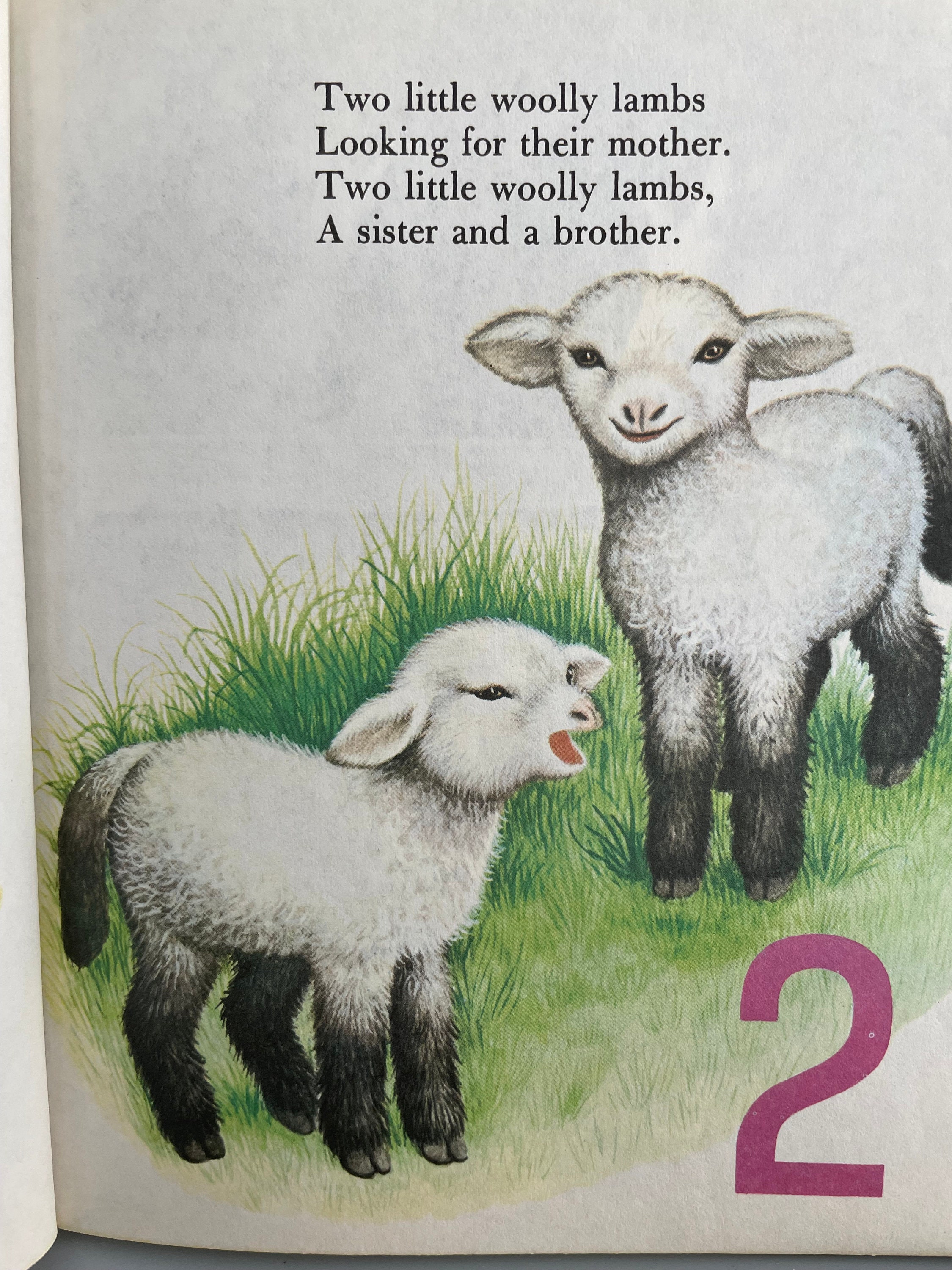 My First Golden Book Counting Book Kitty Cat - Etsy