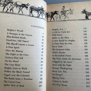 Brighty of the Grand Canyon by Marguerite Henry Rand Mcnally 1953 Mule ...