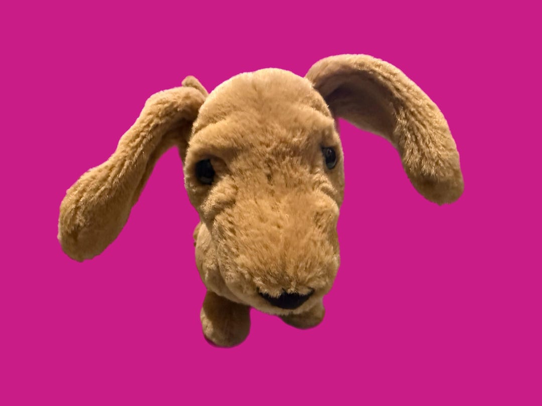 Jellycat Weiner Dog Dachshund Pup Soft Stocking Stuffer - Etsy