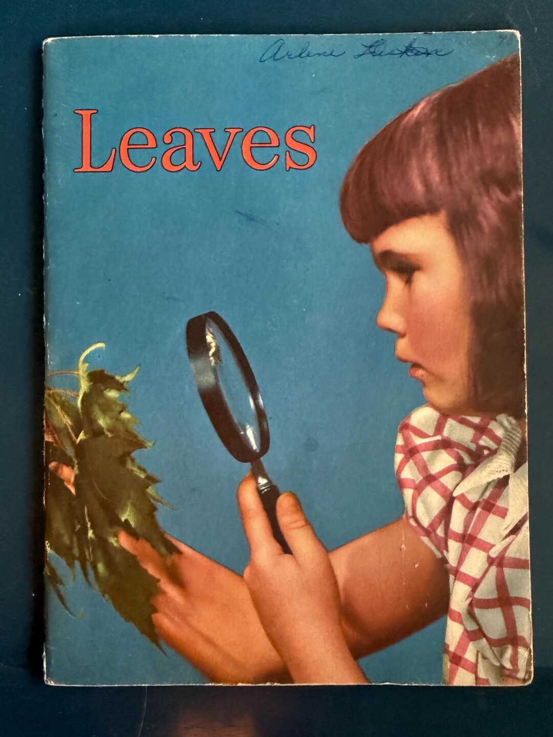 Leaves 1950 Basic Science Edition Homeschool Trees and Leaf Id ...