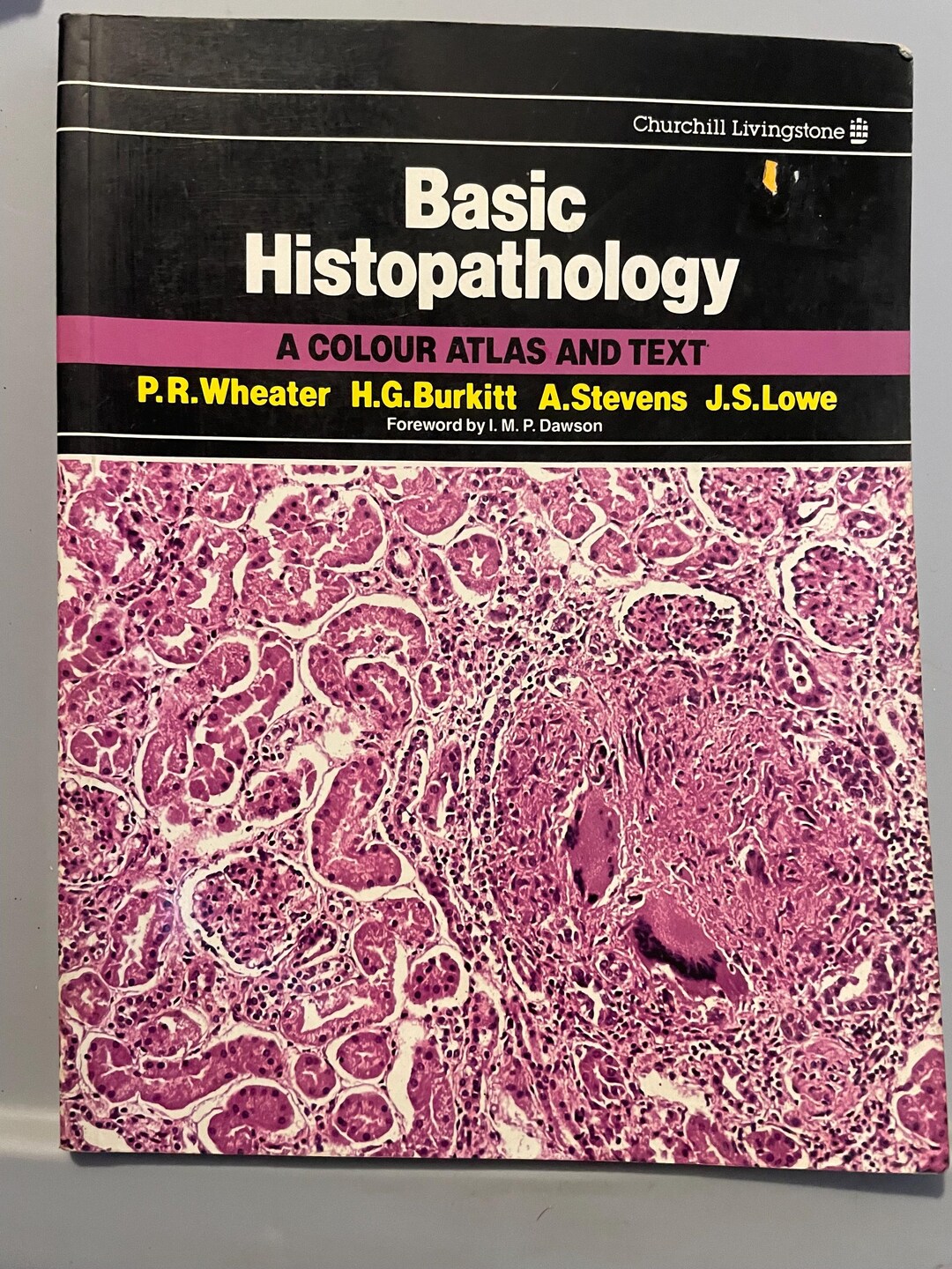 Basic Histopathology Histotech Cytotech Color Atlas and Text - Etsy